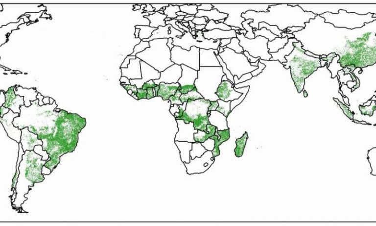 Restore natural forests to meet global climate goals — Science Bulletin