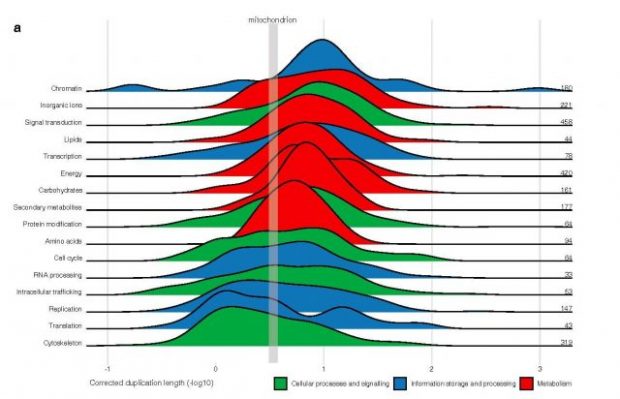 Timeline of early eukaryotic evolution unveiled — Science Bulletin