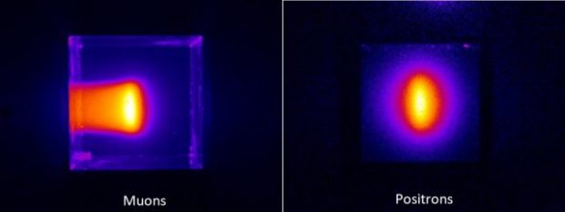 First images of muon beams — Science Bulletin